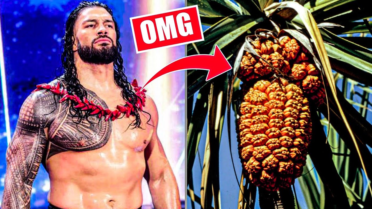 Roman Reigns Red Necklace Reality || What is the Red Necklace that ...