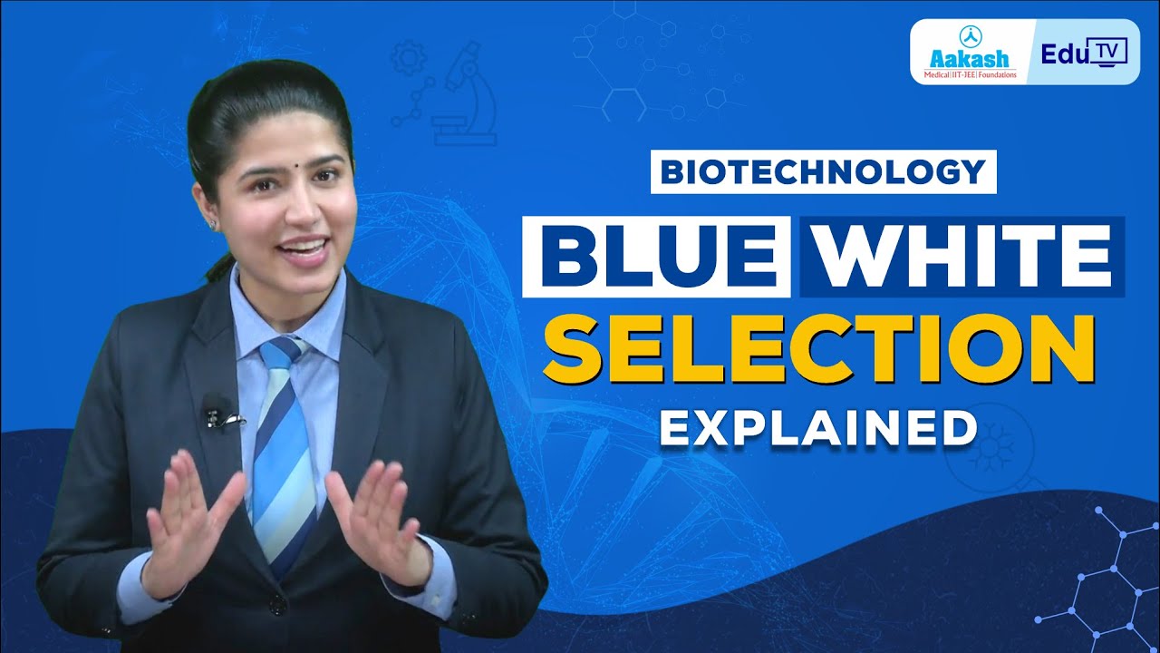 Mastering Blue White Selection: The Key to Recombinant DNA Technology ...