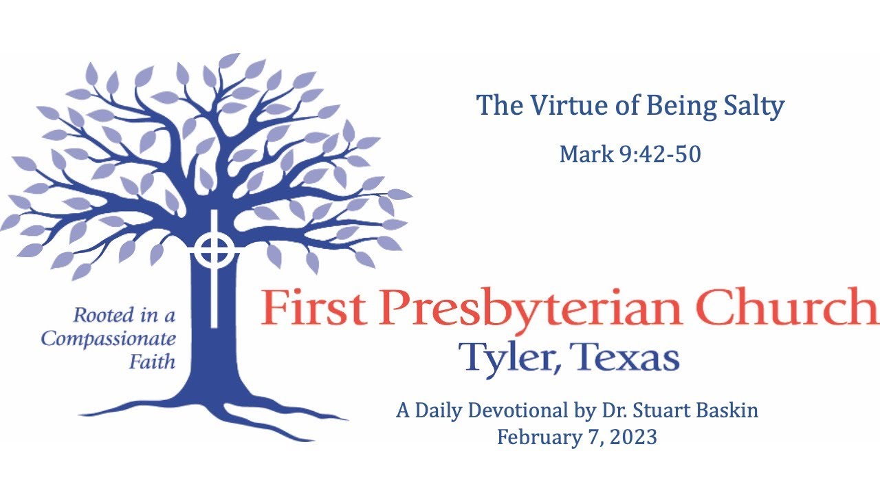 The Virtue of Being Salty | FPC Tyler | Daily Devotional | February 7 ...