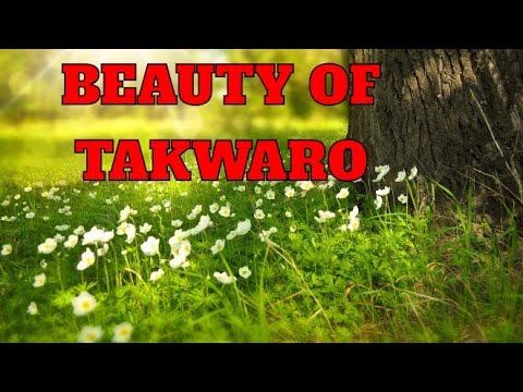 Beauty of Takwaro| Lower Dir | - YouTube