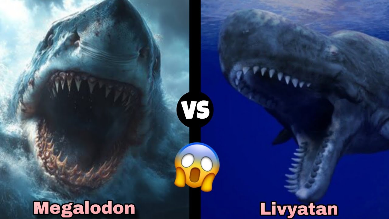 MEGALODON VS LIVYATAN - Who would win between this two legendary ...