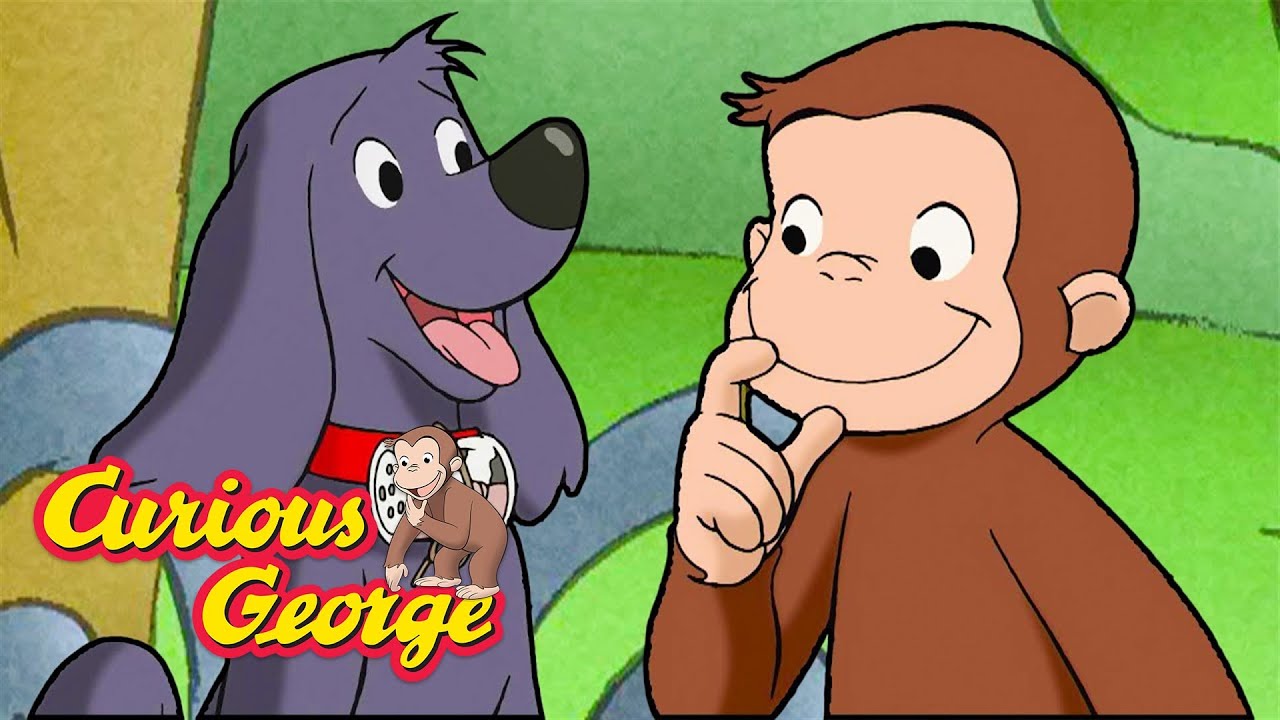 George is Amazing at Soccer! 🐵 Curious George 🐵 Kids Cartoon 🐵 Kids ...