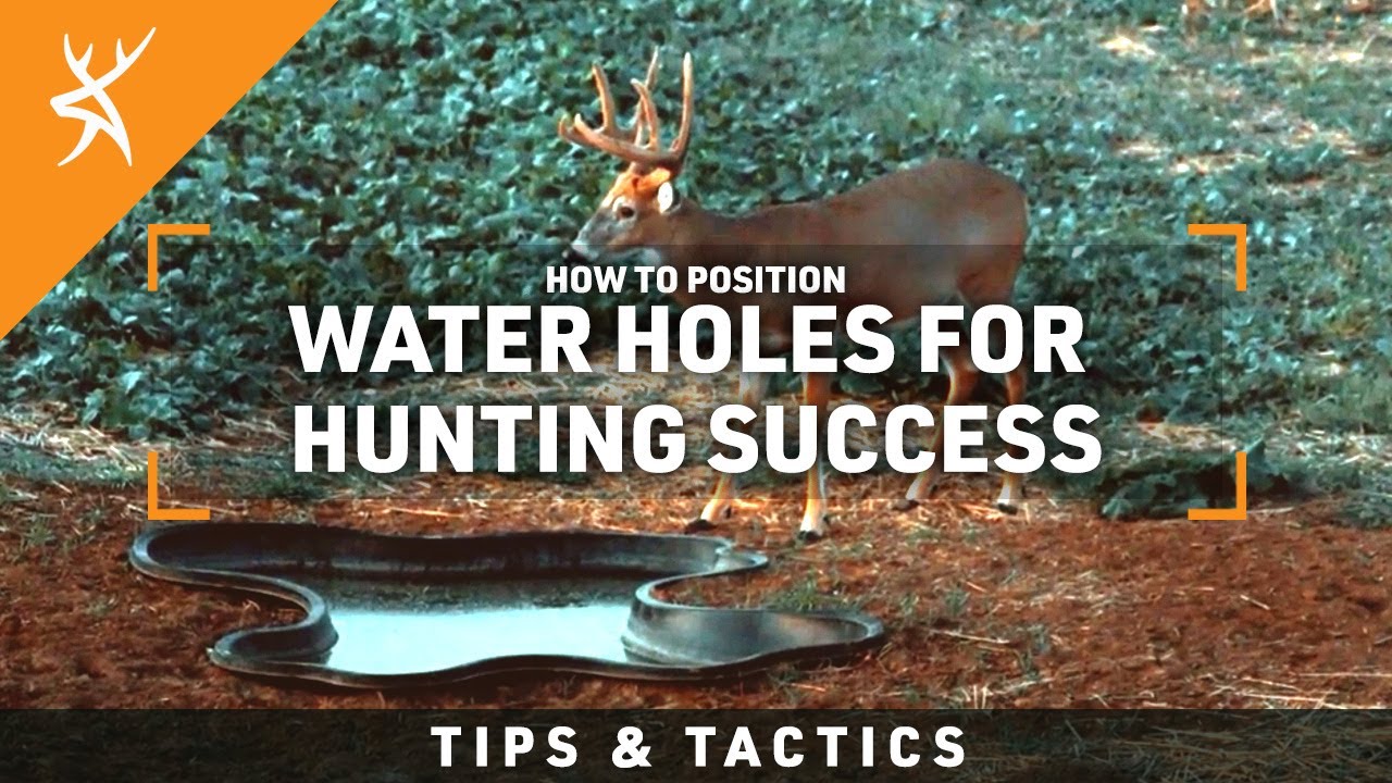 How To Position Water Holes for Deer Hunting Success - YouTube