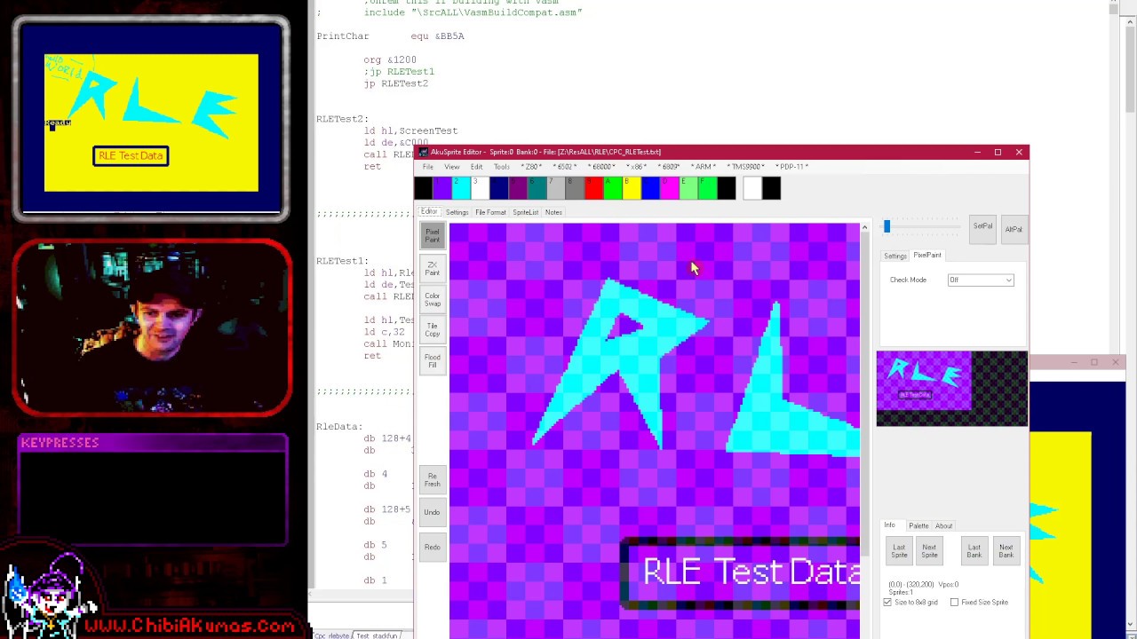 Simple RLE - Z80 Assembly - Lesson M11 - YouTube