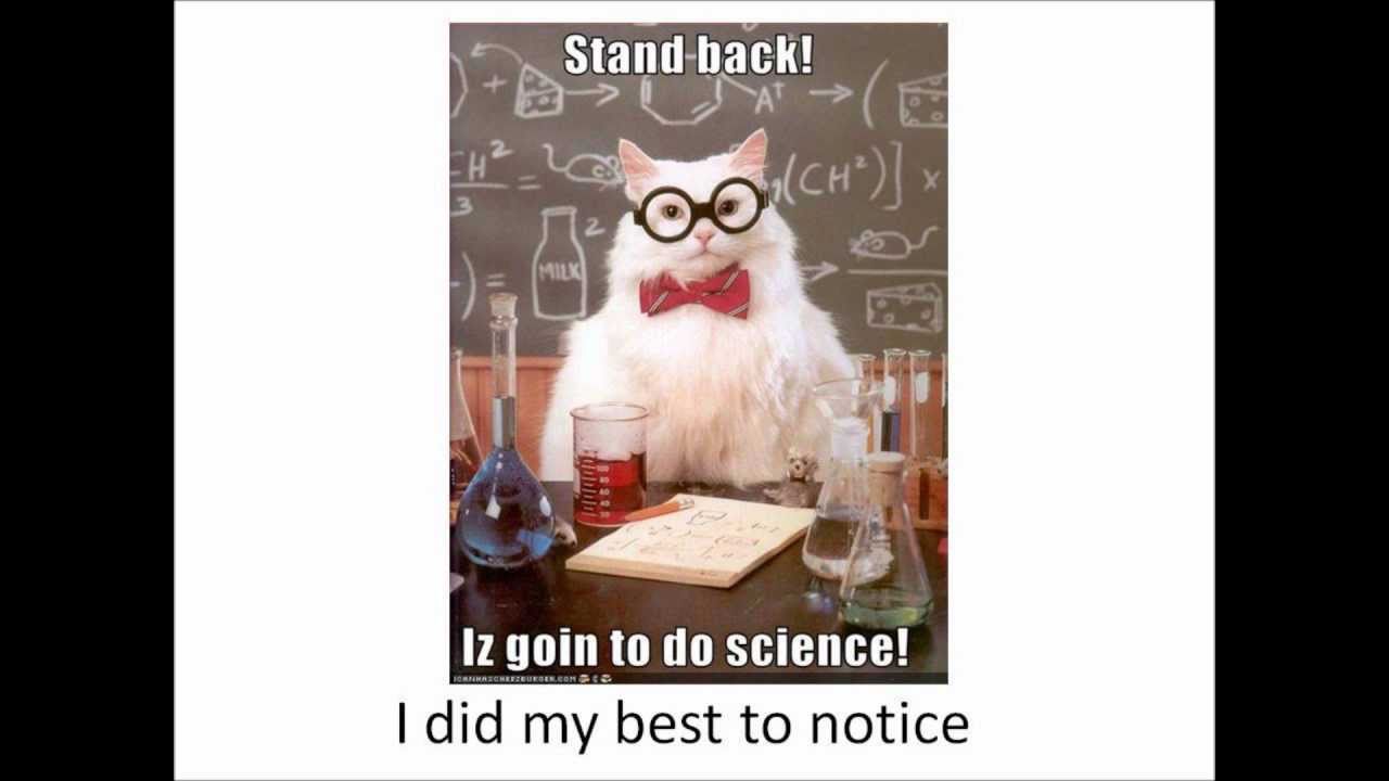 Scalar and Vectors Song - Is it Scalar or Is it Vector? (The Killers ...