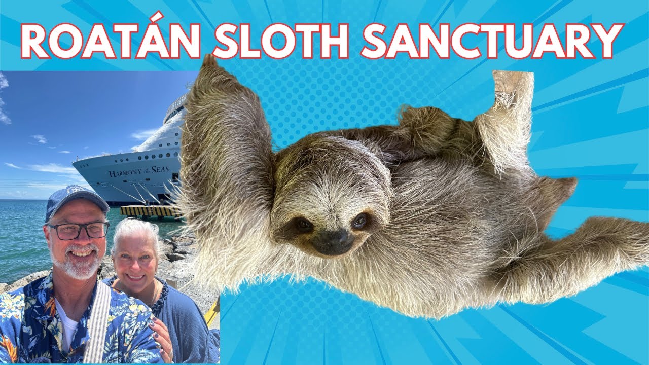 Roatán Sloth & Monkey Sanctuary Tour 🦥🐒 | Must-Do Cruise Excursion ...