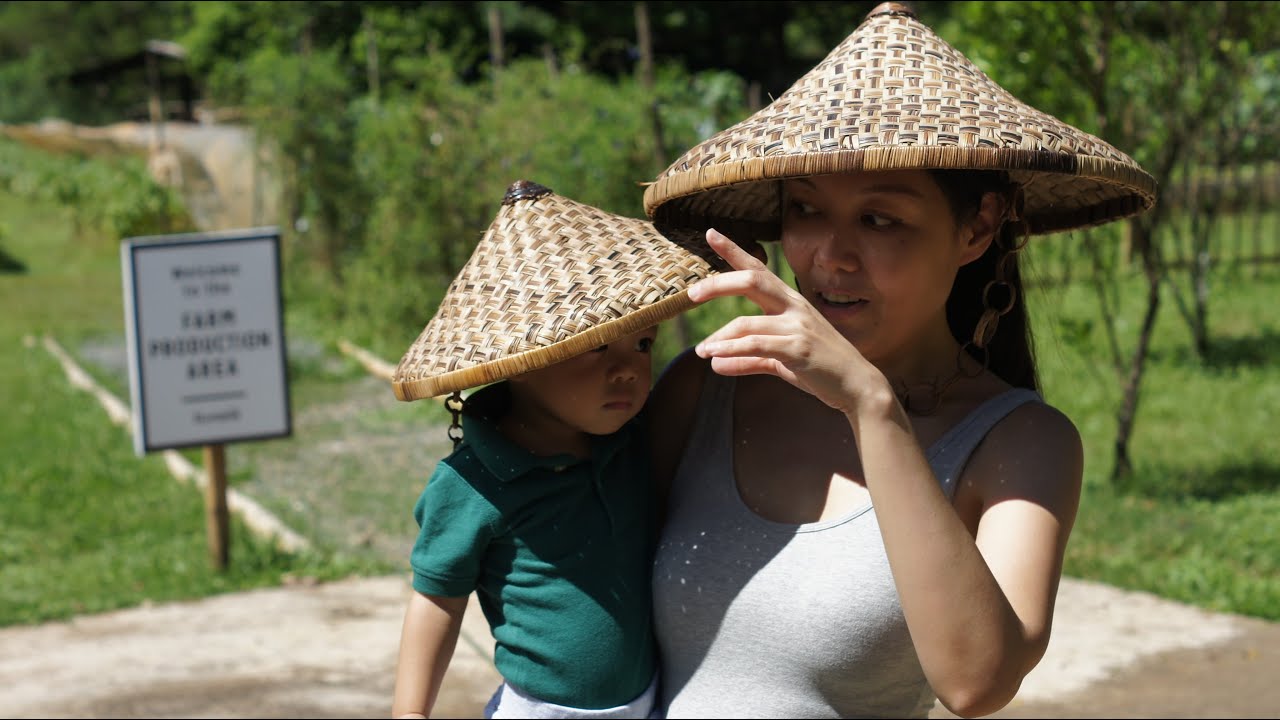 Farm Stay at Numana Farm, Bulacan Philippines - November 2018 - YouTube
