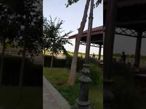 Arkadaşlar gelin gezek