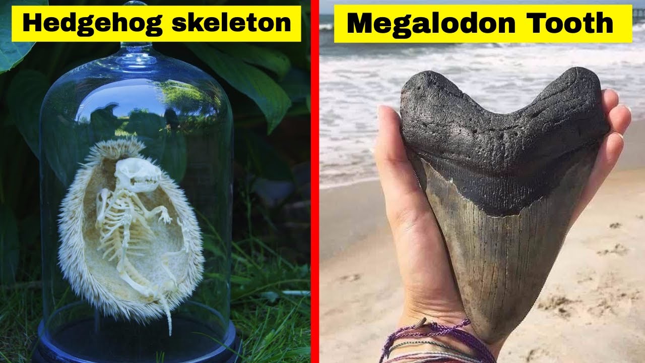 30 Rare Photos That Prove This World Is Full Of Wonders - YouTube