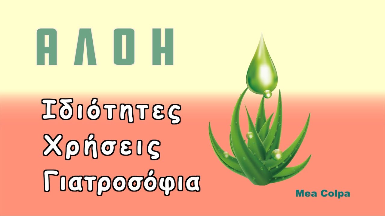 Οσα πρέπει να γνωρίζετε για την Αλόη - YouTube