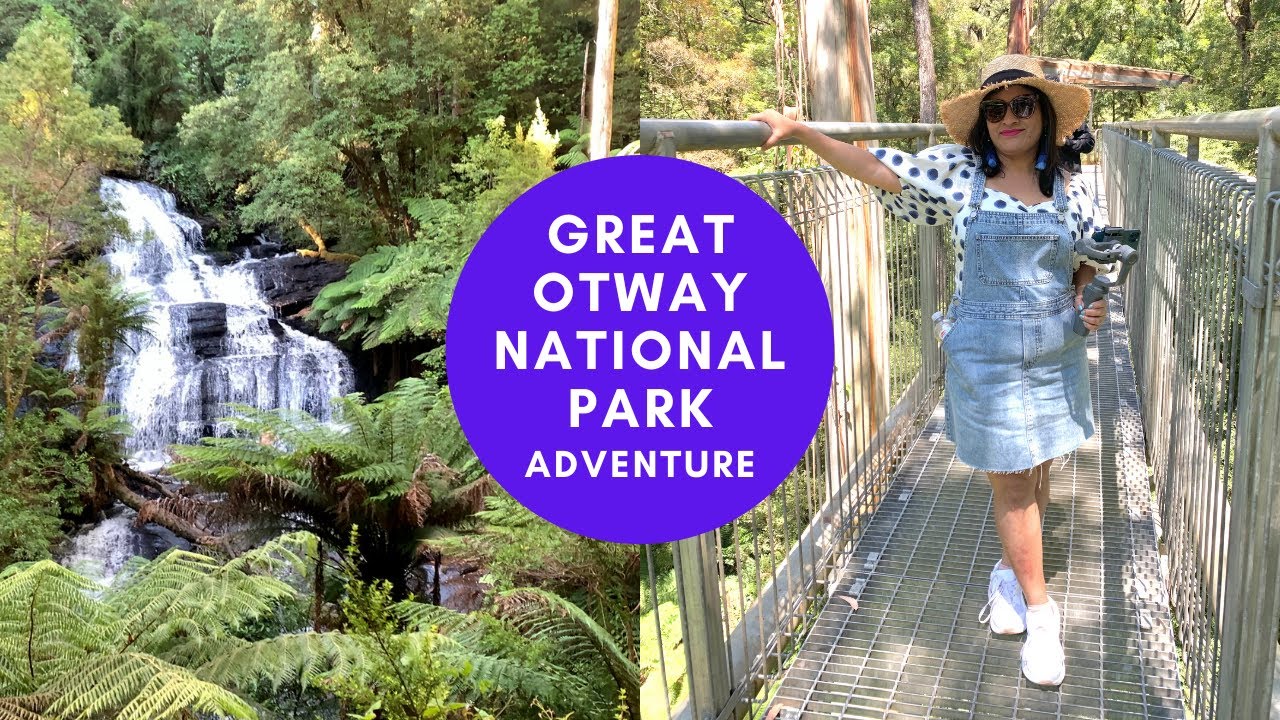 Otway Fly Treetop Adventures & Triplet Falls Rainforest Walk of Great ...