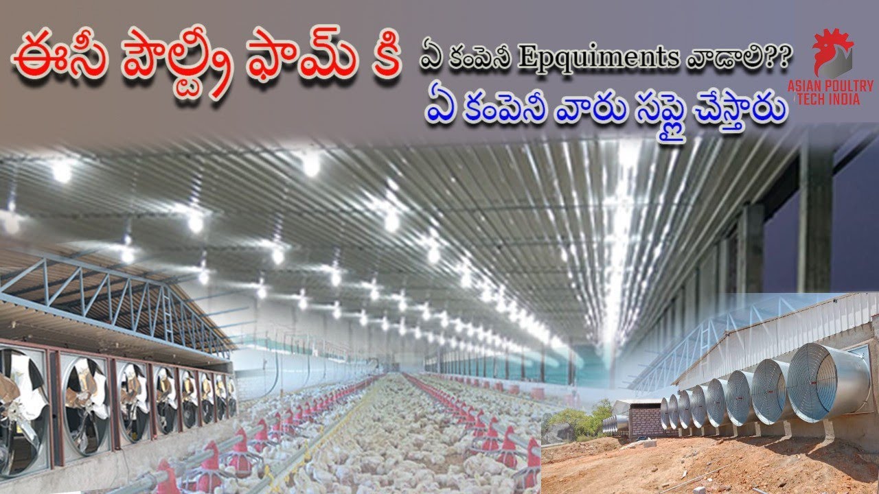 EC poultry farm|ఈసీ పౌల్ట్రీ ఫామ్ కి ఏ కంపెనీ Epquiments వాడాలి??🐣 ఏ ...