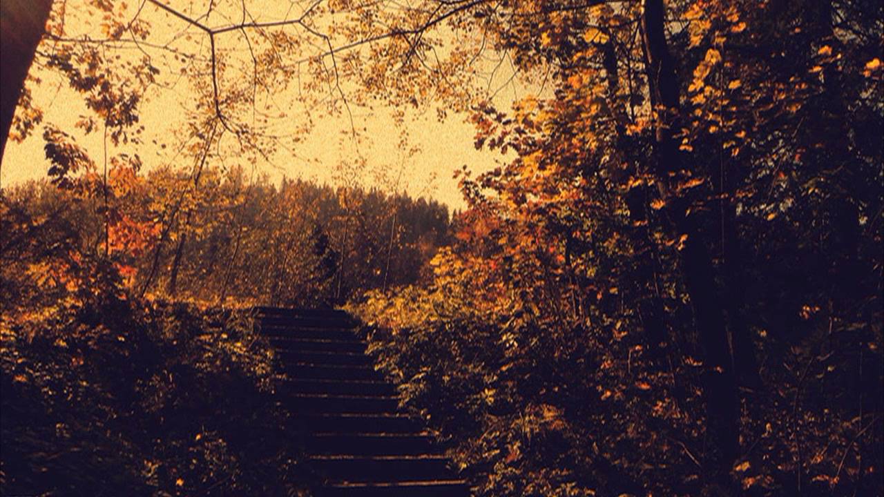 Twilight Fauna - An Autumn Longing - YouTube