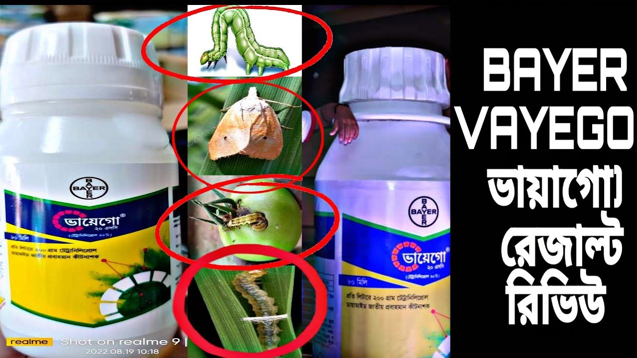 Bayer Vayego insecticide Review/ বায়ারের ভায়াগো ব্যাবহার কি কি ...