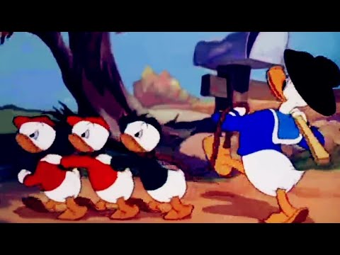 Donald Duck Phonk Walk - Ghostface Play - Why Not (edit Dr. Livesey ...