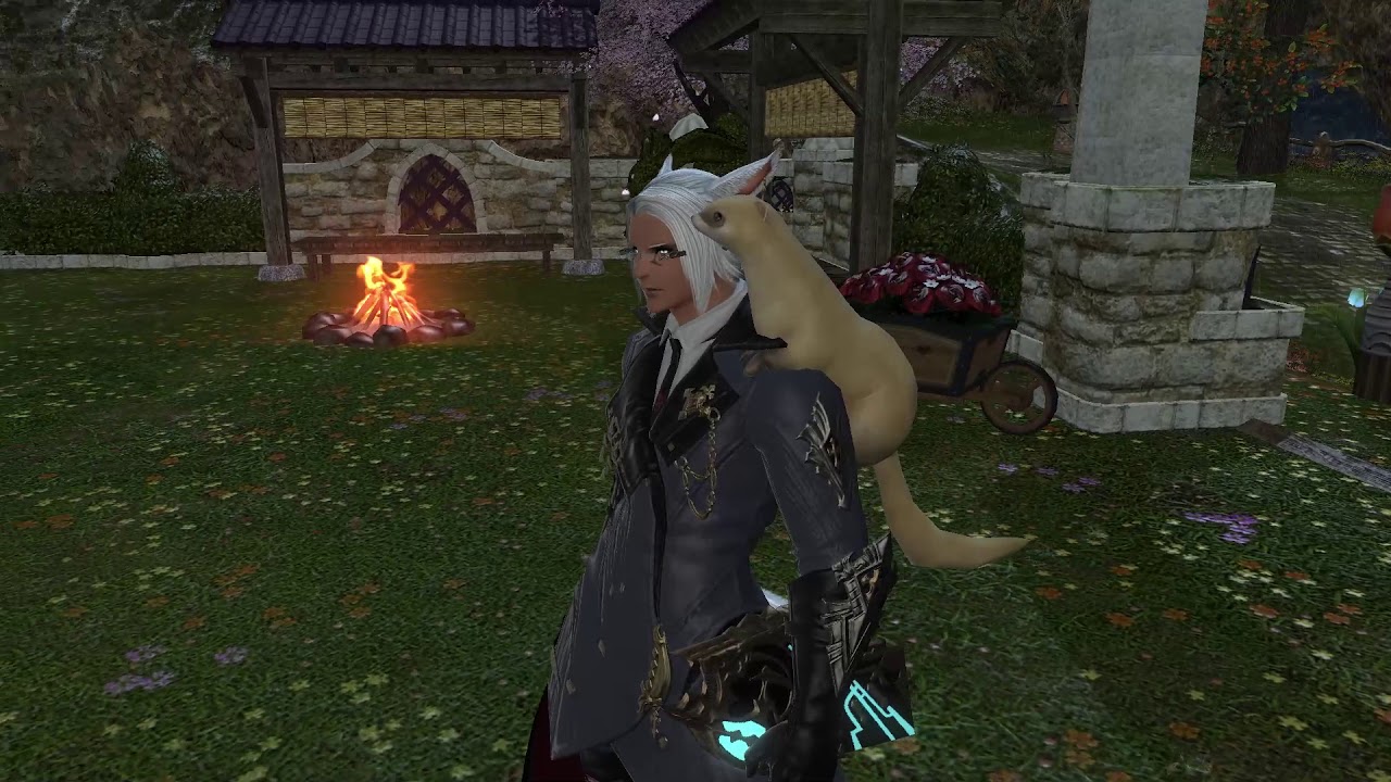 White Whittret Minion in FFXIV - YouTube