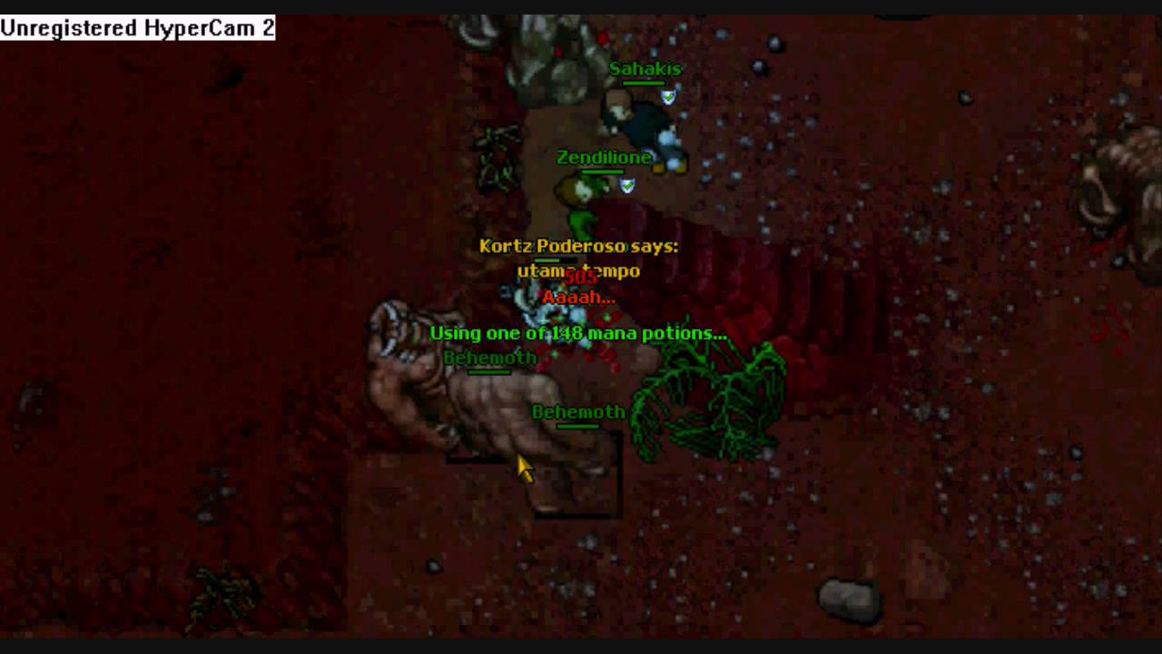 Tibia - Behemoth Hunt II - YouTube