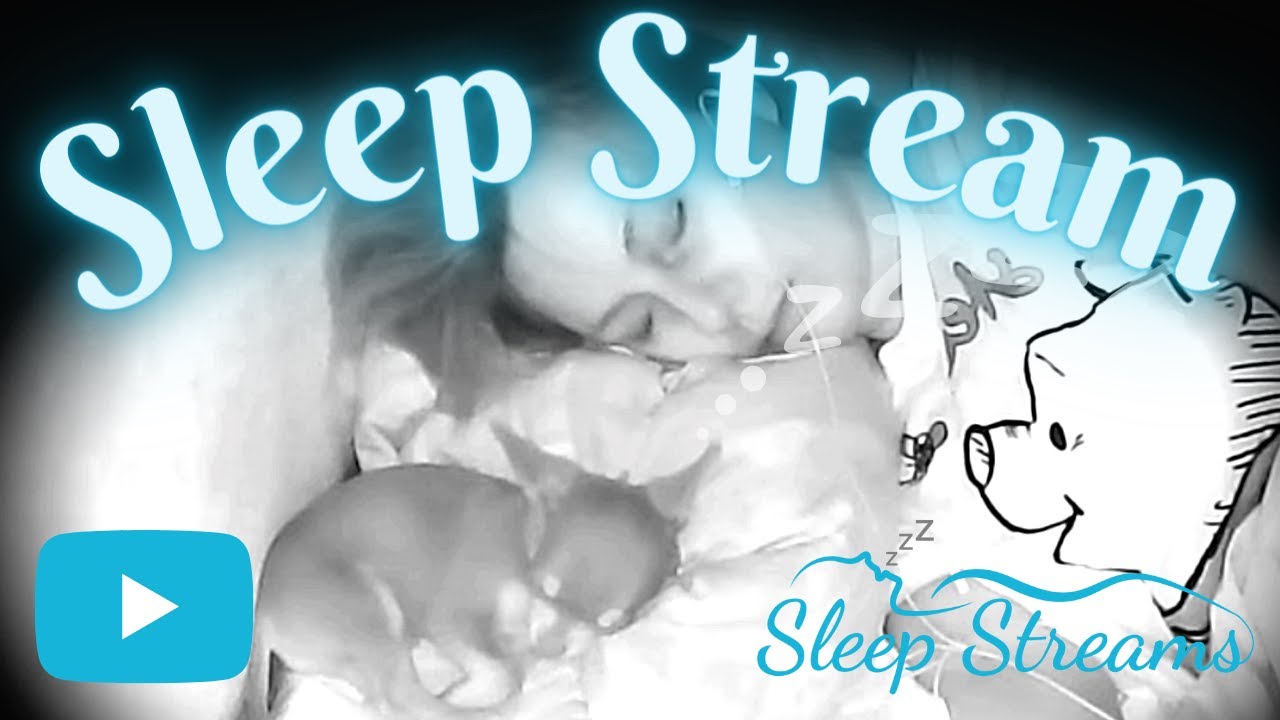 🔴 FALL ASLEEP WITH ME. LIVE SLEEP STREAM. SNORE. DREAMS. CHAT THEN ...