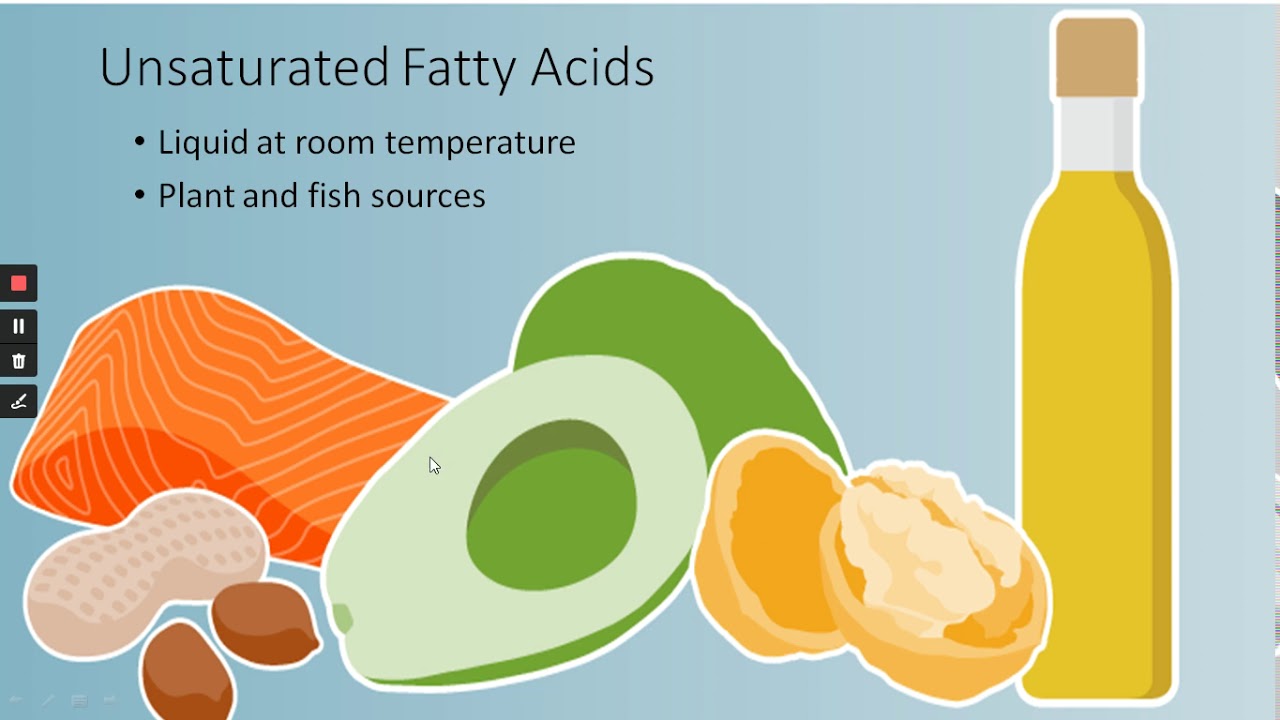 Lipids Fats and Oils part 1 - YouTube