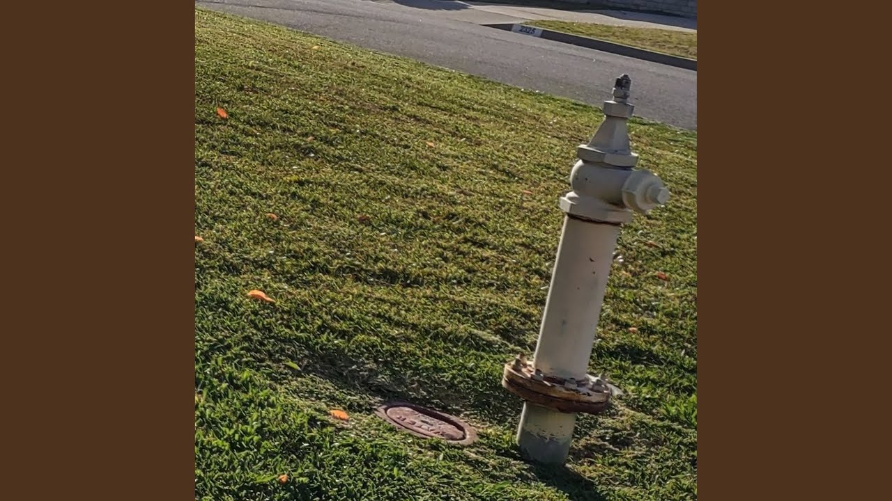 Rouse and Shine Reveille to Twangy Jam Out - YouTube