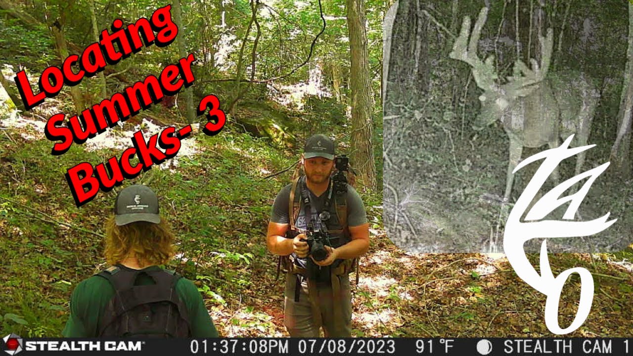 Locating Summer Bucks Ep. 3 | Micro Adjusting Trail Cameras - YouTube