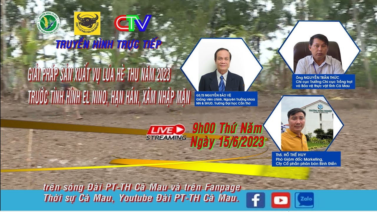 [Trực tiếp] Tọa đàm " Giải pháp sản xuất vụ lúa hè thu năm 2023 trước ...
