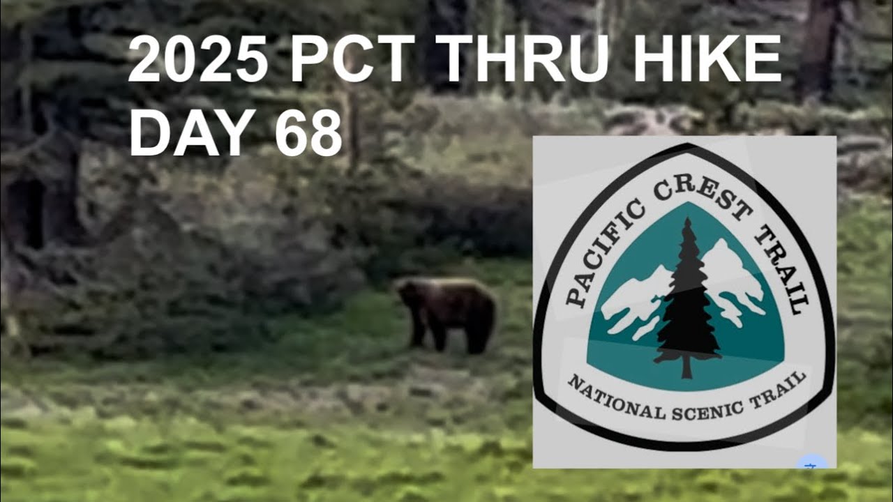 PCT 2025 THRU HIKE DAY 68 MM 1,018.3 to 1,035.3. First BEAR sighting ...