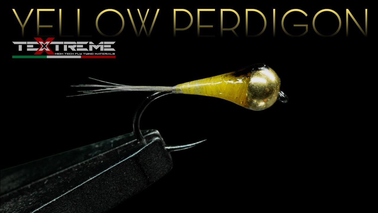 Yellow Perdigon with G.Zingaro - YouTube