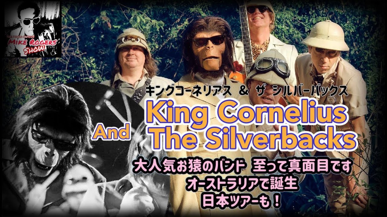 King Cornelius & The Silverbacks We finally found out who the King of ...