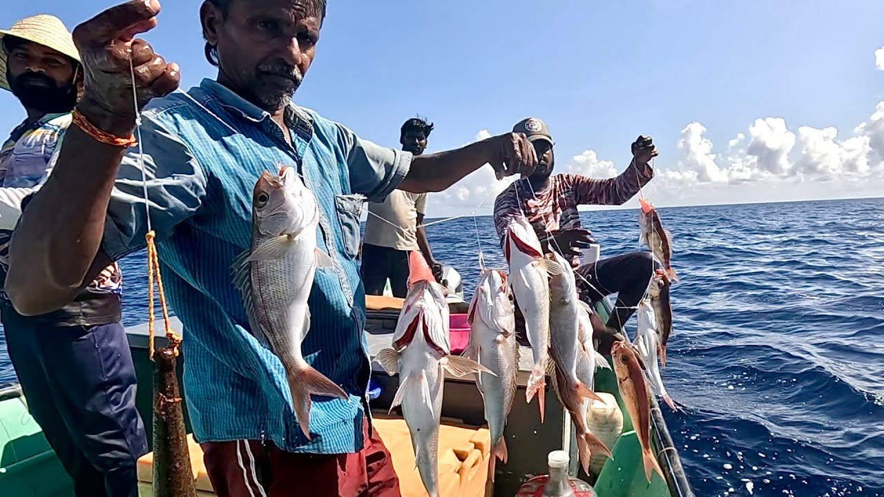 Catching a Lot of Rosy Snapper in the Deep Sea - YouTube