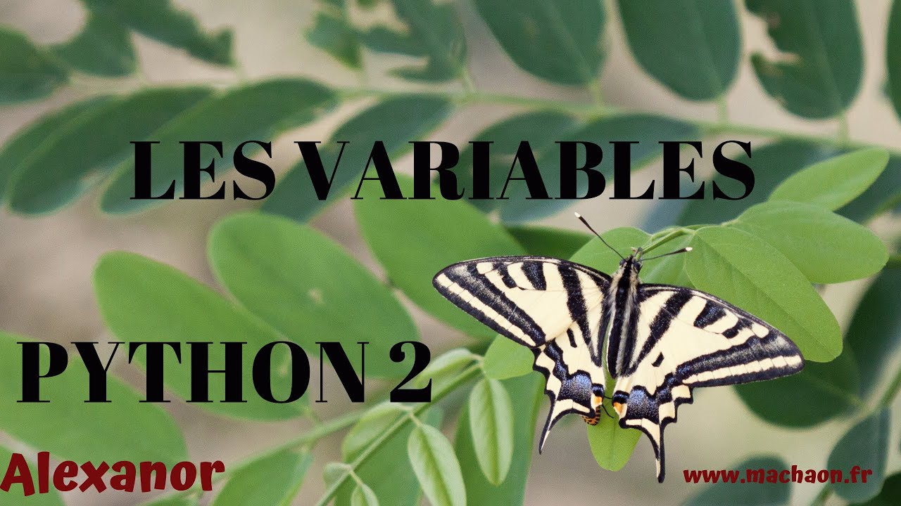 Programmation Python 2 Variable Type Affectation Déclaration Initialisation