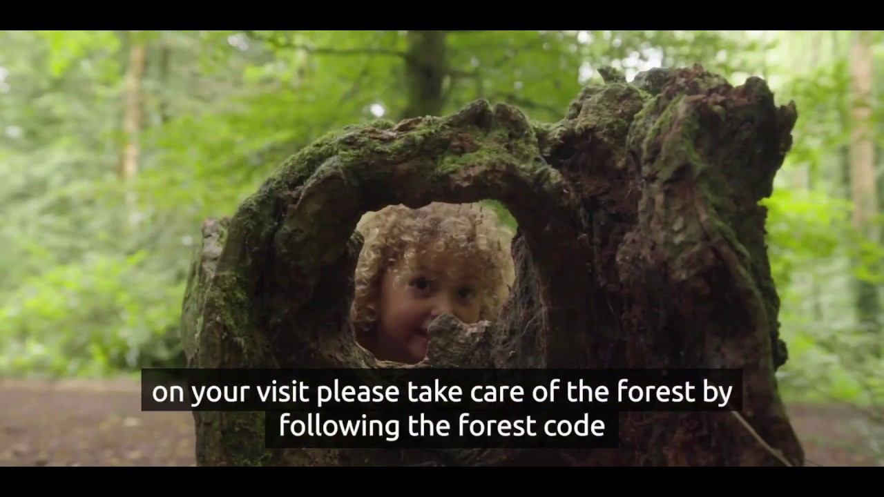 The Forest Code | How to visit the nation's forests responsibly - YouTube
