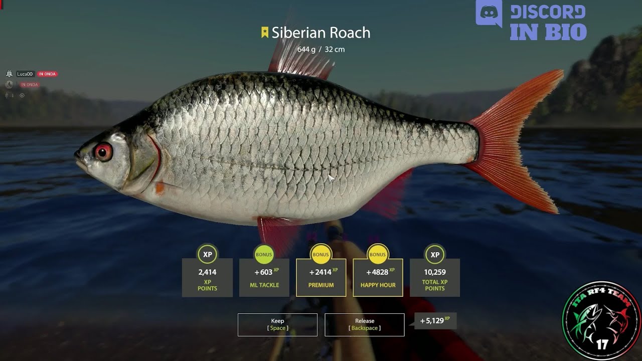 Lower Tunguska River spot, Trophy Siberian Roach - #44 - Russian ...