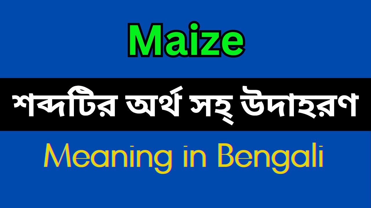 Maize Meaning in Bengali/Maize Mane Ki, Maize Explain in Bengali - YouTube