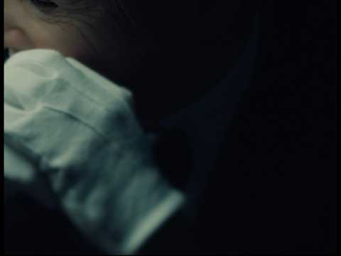 PRESIDENT - Angel Wings