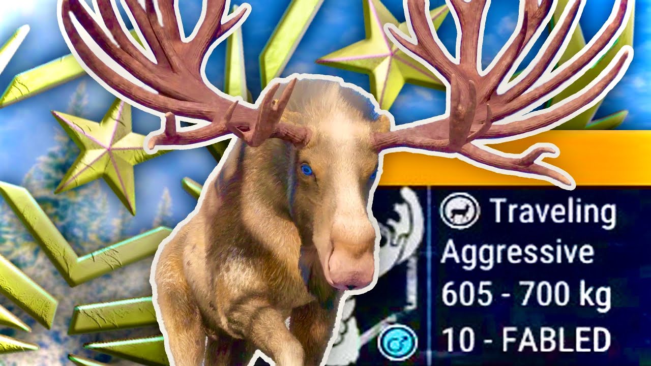 OVER 10 MINUTES OF AGGRESSIVE 10 -FABLED GREAT ONE MOOSE FOOTAGE IN THE ...