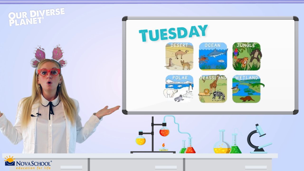 Science Week - Preschool - Tuesday - YouTube