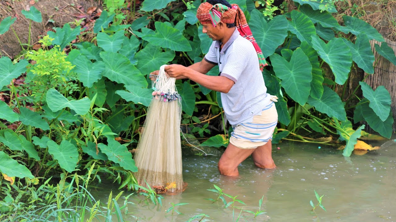 Natural Fish Catching In Bangladesh | Village people fish with current ...