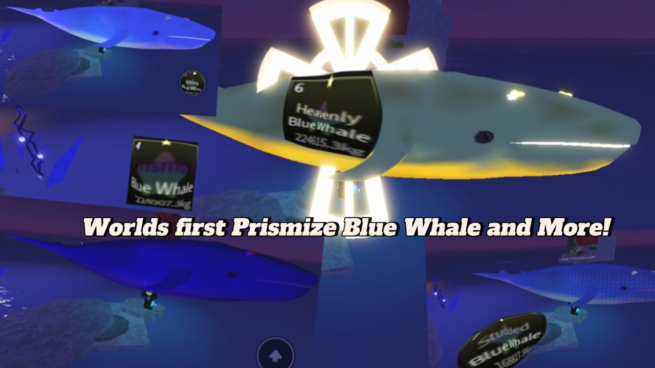I got the Worlds First Prismize Blue Whale in Fisch! (and more world ...