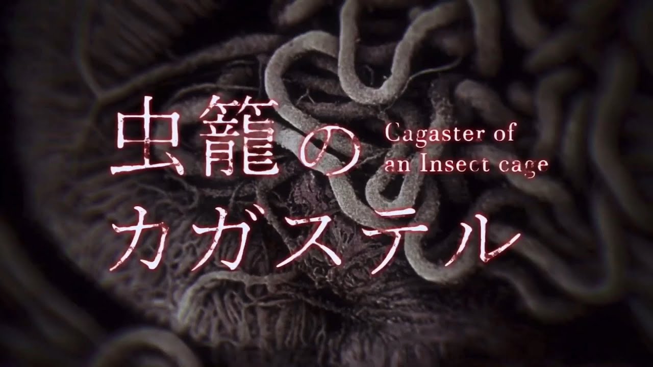 Netflix animes: is it worth watching Cagaster of an insect cage - YouTube