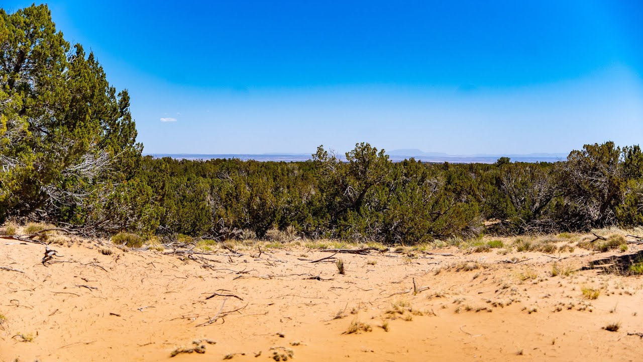 40 ACRES, BORDERS 1280 ACRES OF PUBLIC LAND IN NORTHERN ARIZONA - YouTube