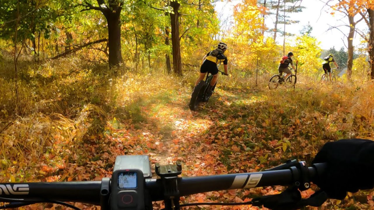 Autumn Cycling: The Best Time to Ride MTB Trails Over leafcovered ...