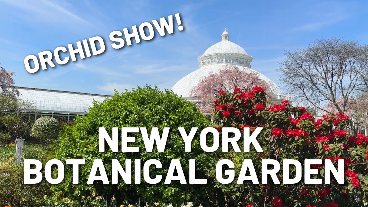 A Complete Guide to the NY BOTANICAL GARDEN: Orchid Show + Walking Tour ...
