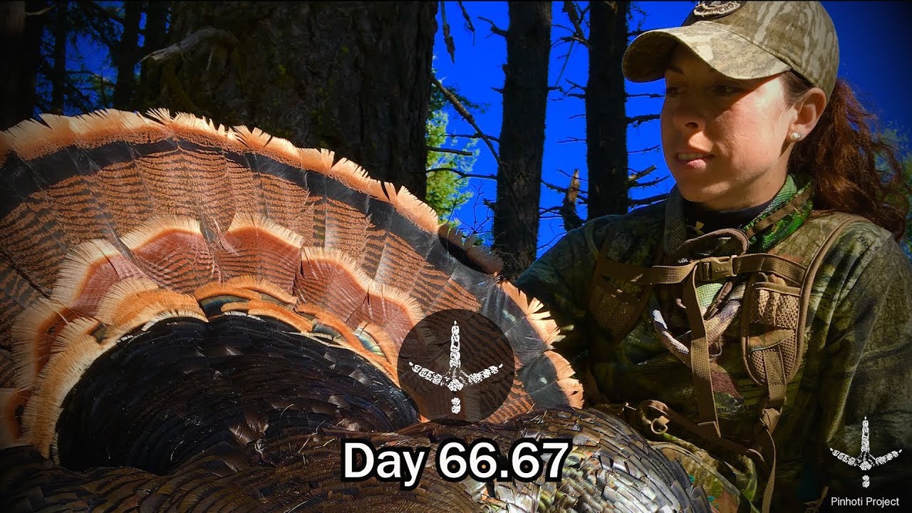 CRAZY IDAHO TURKEY HUNT_ CALLING A GOBBLER DOWN A DRIVEWAY -Pinhoti ...