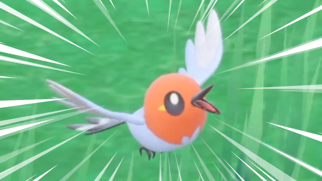 Fletchlings Caught Off Guard English Dub - YouTube