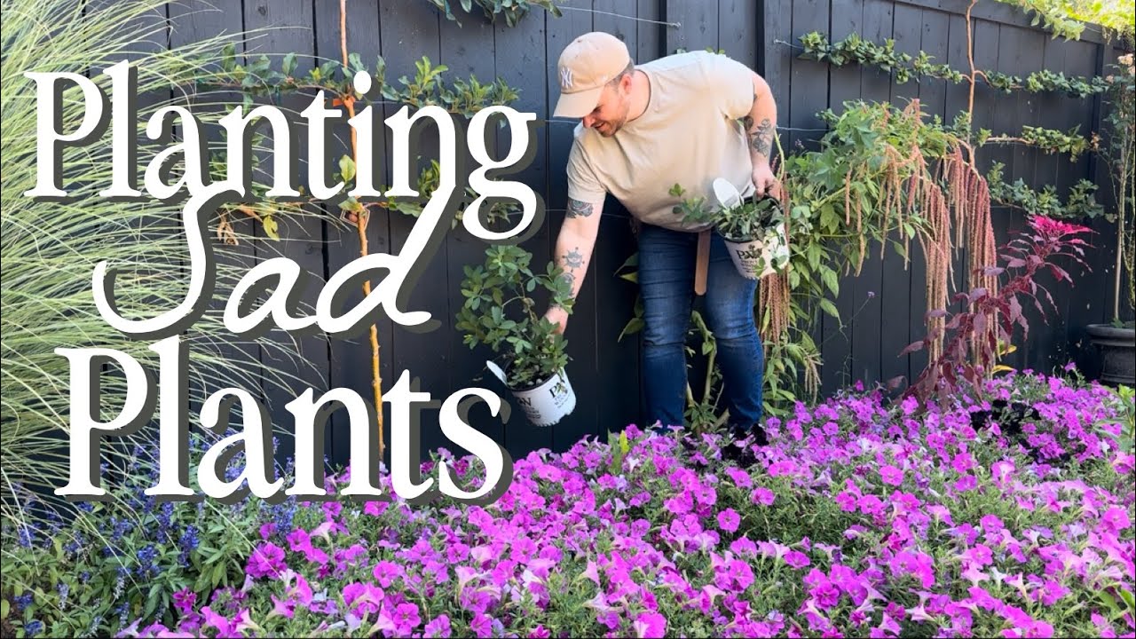 These Sad Plant Will Be Stunning Next Year! 🌿|| Visit Our Garden - YouTube