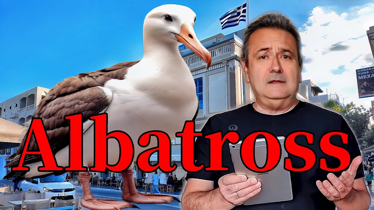 The Albatross The Animal World Classic Illustrated Junior learn ...