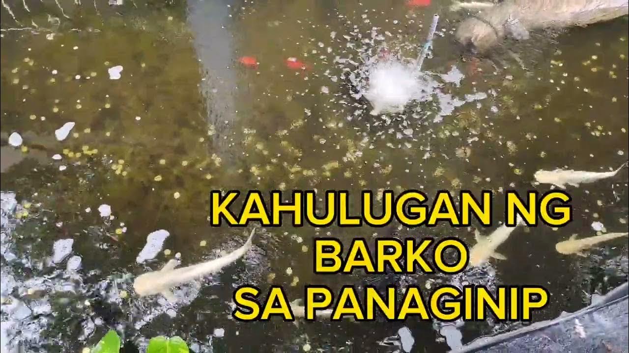 KAHULUGAN NG BARKO SA PANAGINIP - YouTube