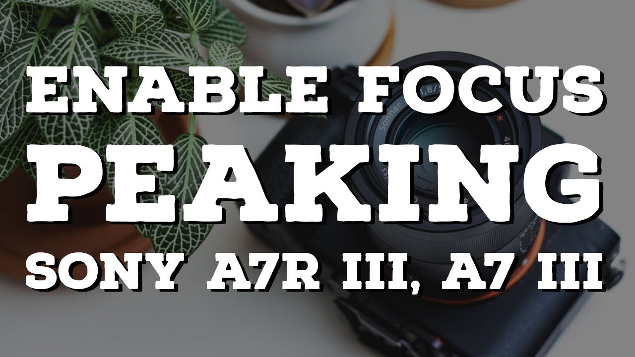 Sony A7R iii: how to enable focus peaking - YouTube