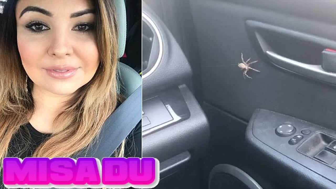 Horrifying moment HUGE spider causes Aussie mum to vomit - YouTube